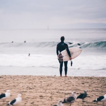 Boat Slips, Amenities, & More | Peter's Landing Marina